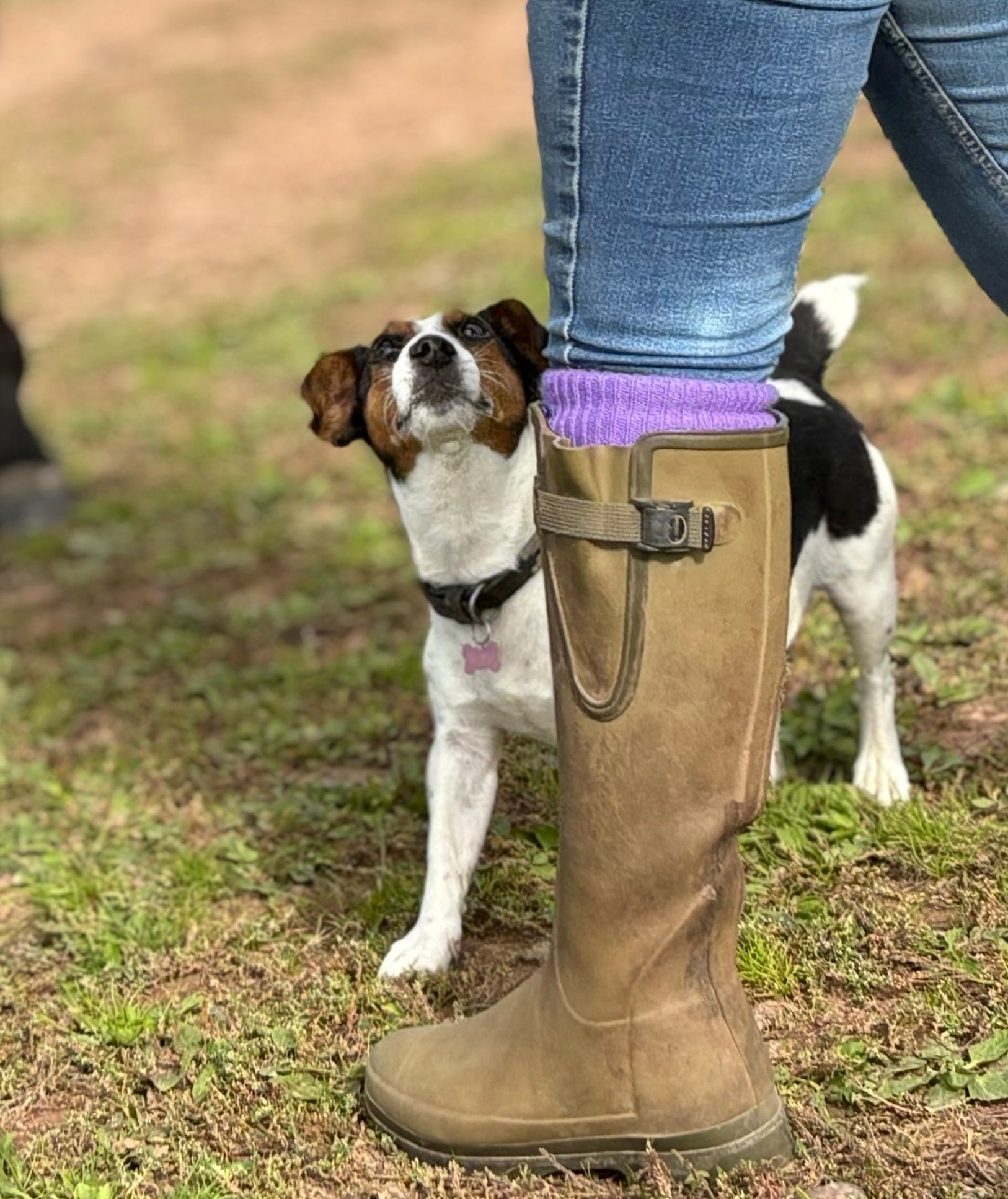 The Ultimate Duo for Autumn Walks: Alpaca Socks + Wellies - Perilla